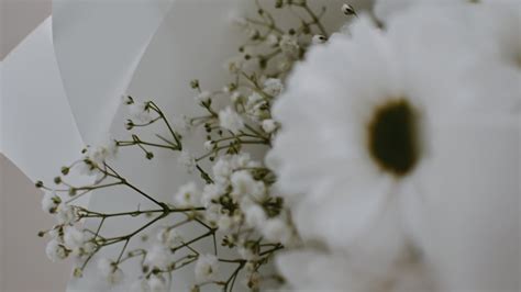 Gästebuch Hochzeit zum Ausfüllen Kreativ Persönlich Unvergesslich