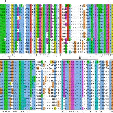 Multiple Alignment Of The Amino Acid Aa Sequences Of Rdrps Encoded By