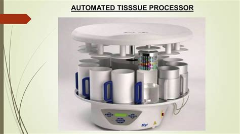 Cell Morphology N Tissue Processing Ppt Pptx Chemistry Science
