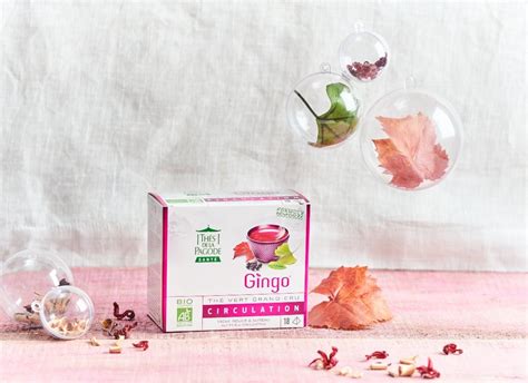 LACTION DU GINKGO BILOBA SUR VOTRE CIRCULATION BIOINFO