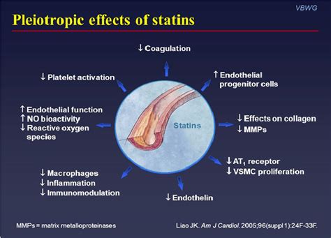 Figure 1 From An Overview Of Pleiotropic Effect Of Statins In