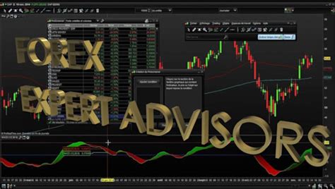 setup hft trading bot mt4 mt5 expert advisor for trading strategy by