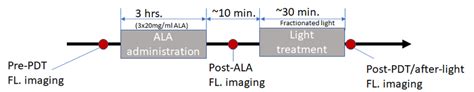 Three Time Point Lesion Site Imaging Wl White Light And Fl