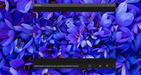 How To Use Bing Wallpaper In Windows At Mark Eula Blog