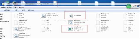 缺少hadoop dll 以及winutils exe window找不到hadoop dll csdn博客