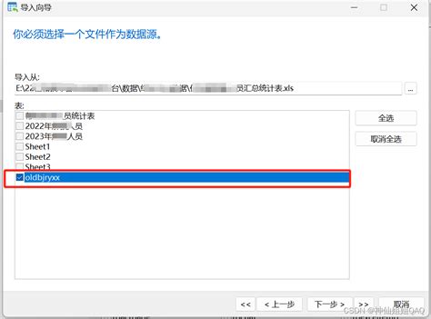 将excel表中的数据导入到navicat中