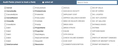 configure the audit log