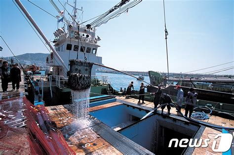 양식·원양어업 생산량 증가상반기 국내 어업생산량 전년비 52↑