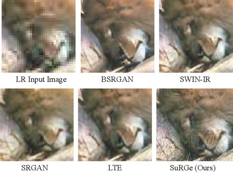 Fortifying Fully Convolutional Generative Adversarial Networks For Image Super Resolution Using