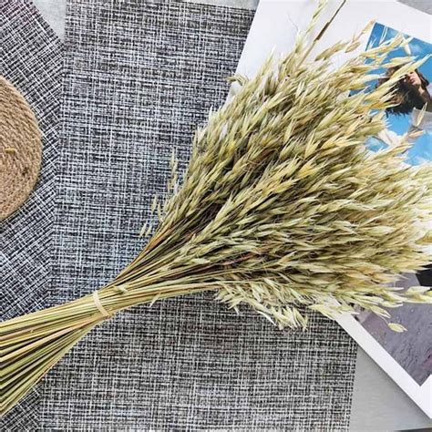 Natural Dried Flower Etsy