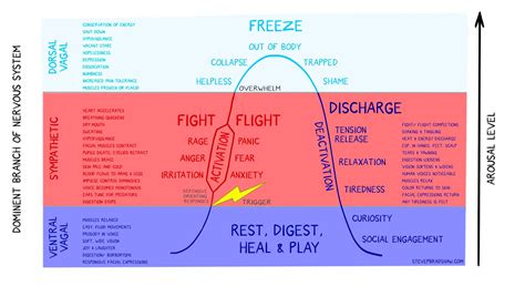 Somatic Therapy For Anger Management In Los Angeles California