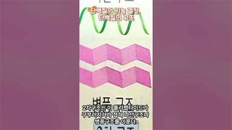 단백질의 기능 결정 단백질의구조s 청소년 사춘기 과학 청소년 통찰 과학실험통합과학고등과학중학과학초등과학