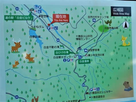 なつかしの北海道ぐるっと一周ツアー（白金 青い池 ①：上川郡美瑛町） Fwssのえっさんブログ