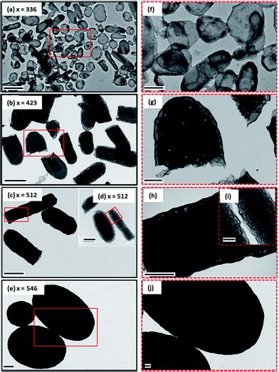 Block Copolymer Microparticles Comprising Inverse Bicontinuous Phases Prepared Via