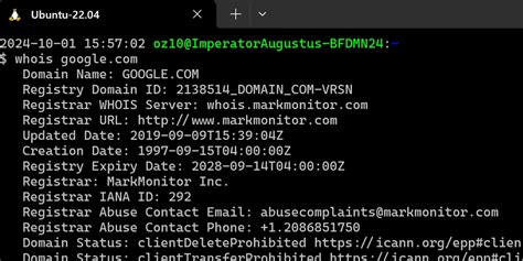 Demystifying The Whois Command Your Gateway To Domain Intelligence