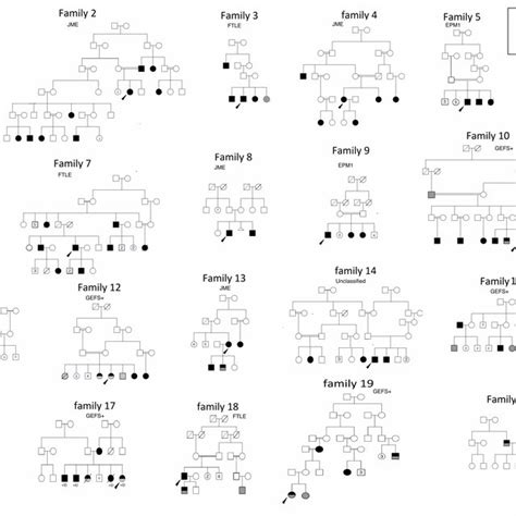 Principe De La Technique Cgh Array [173] Download Scientific Diagram