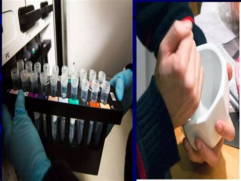 Dna Barcoding In Animals Pptx