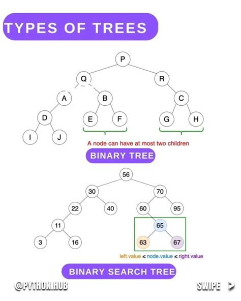 🌳 Understanding Tree Data Structures Gopikannan P