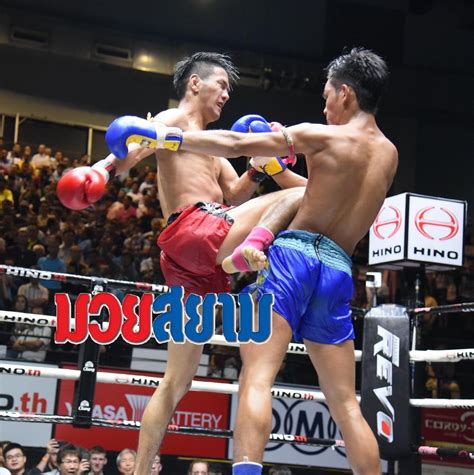 【ムエタイ】立ったまま失神、悶絶ko…タイの大手メディアが選んだ「ヒザによるko劇トップ5」に福田海斗の試合も ゴング格闘技
