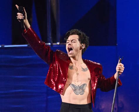 Harry Styles Fan Hits Singer In The Eye After Throwing Something