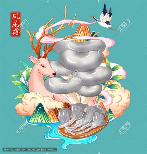 凤尾菇插画手绘kwtzhb 站酷zcool