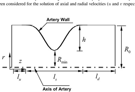 Geometrical Configuration With Computational Domain For Cosine Shaped
