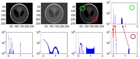 The Effect Of Noise And Bias On The Global Intensity Histogram Using