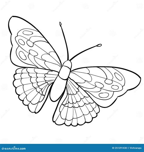 Esbozar Mariposa En Color Negro Con Diferentes Patrones Colorear Libro