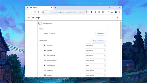 Check The Permissions Youve Given To Websites In Chrome Edge Firefox And Safari Lifehacker