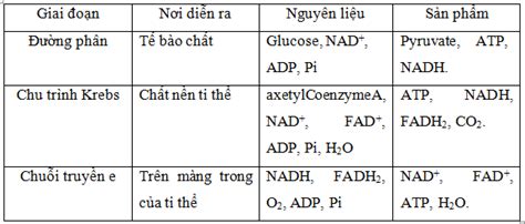 Nơi diễn ra nguyên liệu và sản phẩm của chu trình Krebs trong quá trình hô hấp ở