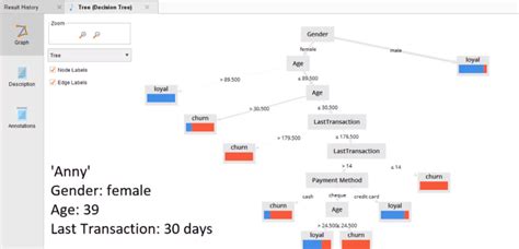 Decision Tree Demo RapidMiner Studio