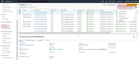 Restoring EC2 Instance From Snapshot Vinchin Backup