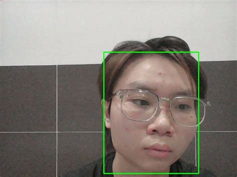 Facial Reconigition Classification Dataset V1 2024 04 25 911am By Nhu Le Facial Reconigition Classification Dataset V1 2024 04 25 911am By Nhu Le