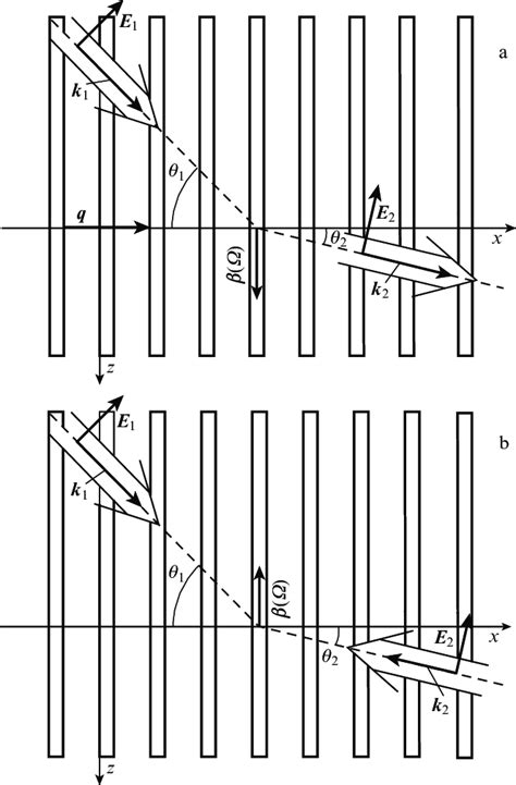 Geometry Of The Problem The Spp Generation In An Swcnt Array By A