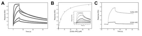 Characterization Of The Binding Of Col2a And Ccn3 Vwc Domains To Download Scientific Diagram