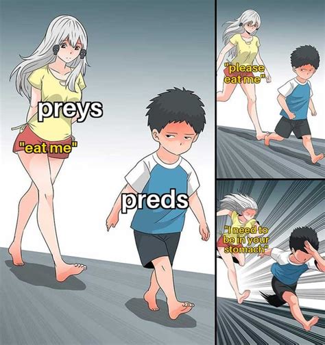 Voreirl Rvoreirl