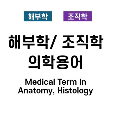상피조직 01 상피 조직 Epithelial Tissue 의학당