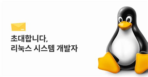 리눅스 시스템 개발자로 가는 네비게이션 로드맵 인프런