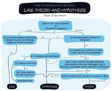 Law Theory And Hypothesis