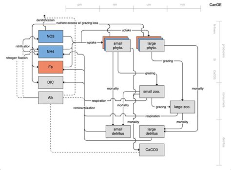 Schematic For The Canoe Model See Figure 1 Caption For Details Download Scientific Diagram