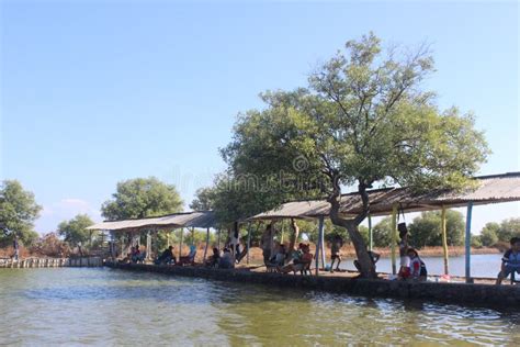 Milkfish Fishing Pond In The East Java District Of Sidoarjo Indonesia