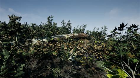 artstation plants and shrubs v2 unreal engine 4 ue4 game assets