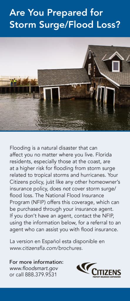 Determine Your Risk Florida Storms