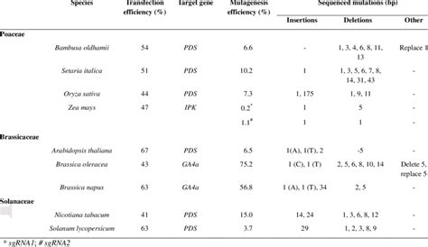 Targeted Mutations In Protoplasts Of Nine Plant Species Download Table