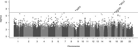 Manhattan Plot Of The Results Of The Genome Wide Dna Methylation