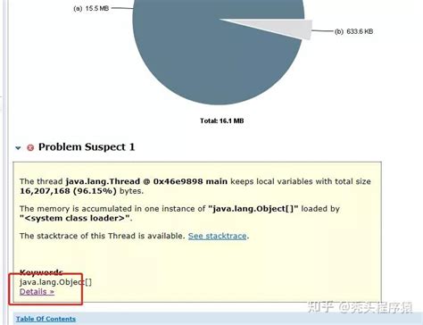 Java内存泄漏分析工具memory Analyzer Tool 知乎