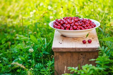 Premium Photo Tasty Cherries In Plate On Sunny Day