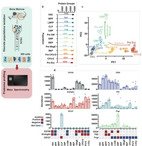 News In Proteomics Research Profile Rare Cell Populations With The