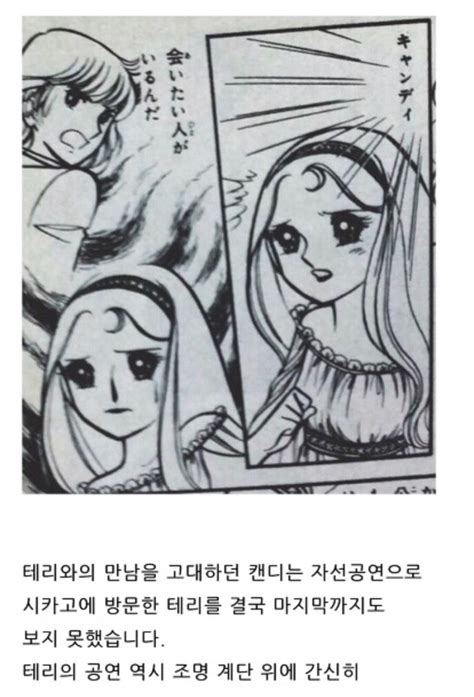 [칼럼] 명작만화 “캔디캔디” 캔디를 둘러싼 사랑 “테리우스” 편 네이버 블로그