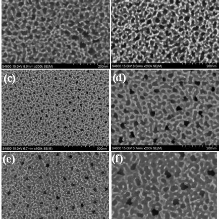 Sem Of Tio Nanotube Array Electrodes With Different Water Content In